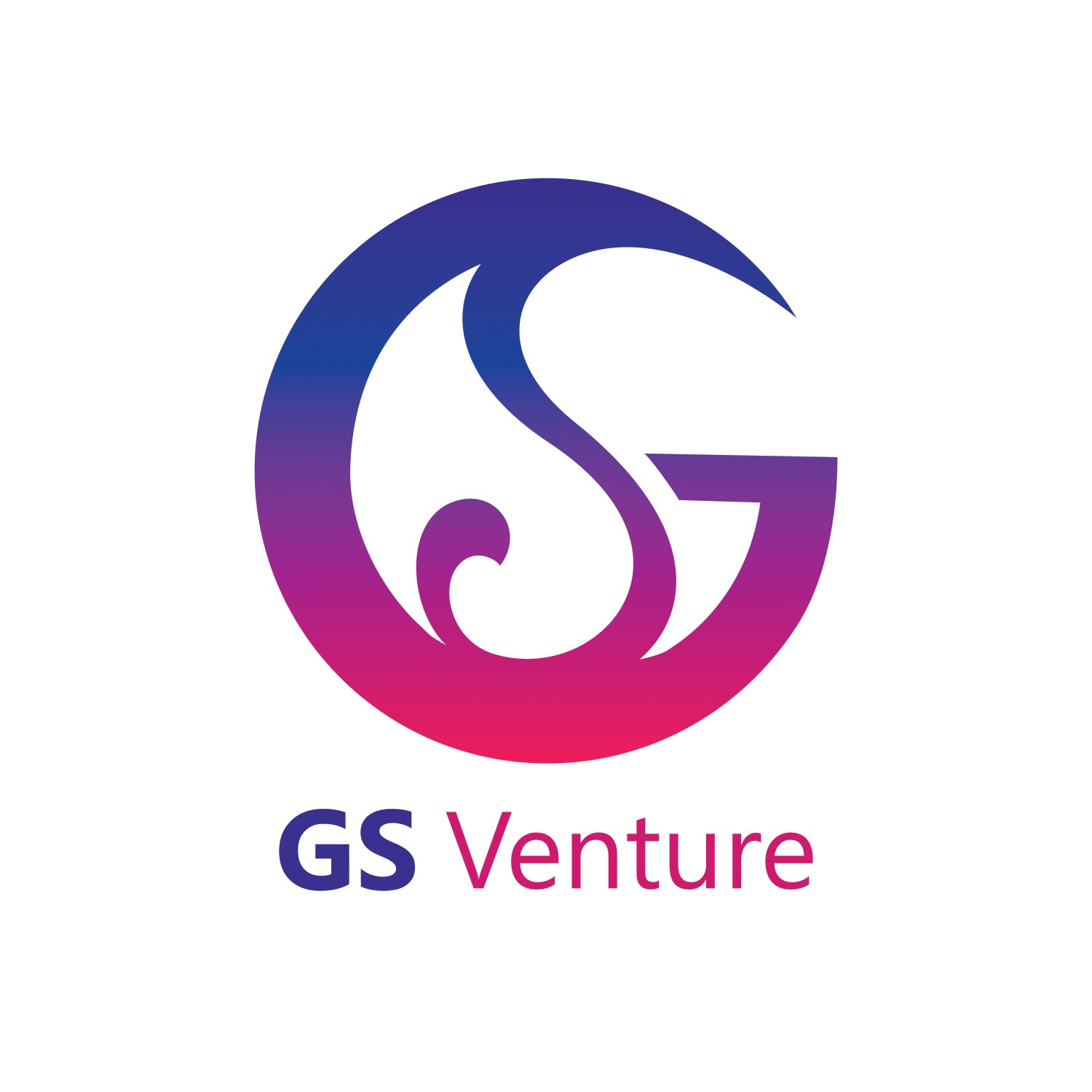 GS Venture GS Venture